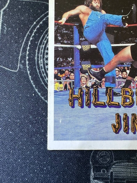 1990 CLASSIC WWF HILLBILLY JIM #40 Wrestling Card WWE EUR 1,67 ...