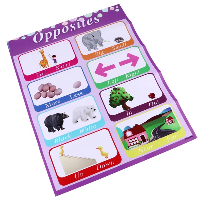 FLIP CHART PRESCHOOL Educational Poster English Learning Classroom ...