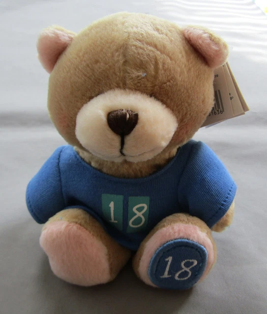 HALLMARK FOREVER FRIENDS Beany Bear 18th Birthday/Anniversary New w ...