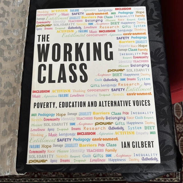 THE WORKING CLASS: Poverty, education and alternative voices Paperback ...