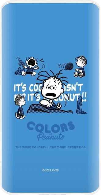 PEANUTS SNOOPY USB/USB Type-C 4000mAh Lithium Ion Polymer Charger 2.1A ...