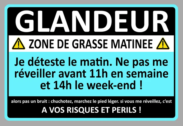 ATTENTION GLANDEUR ADO HUMOUR DROLE ANNIVERSAIRE 15cm AUTOCOLLANT ...