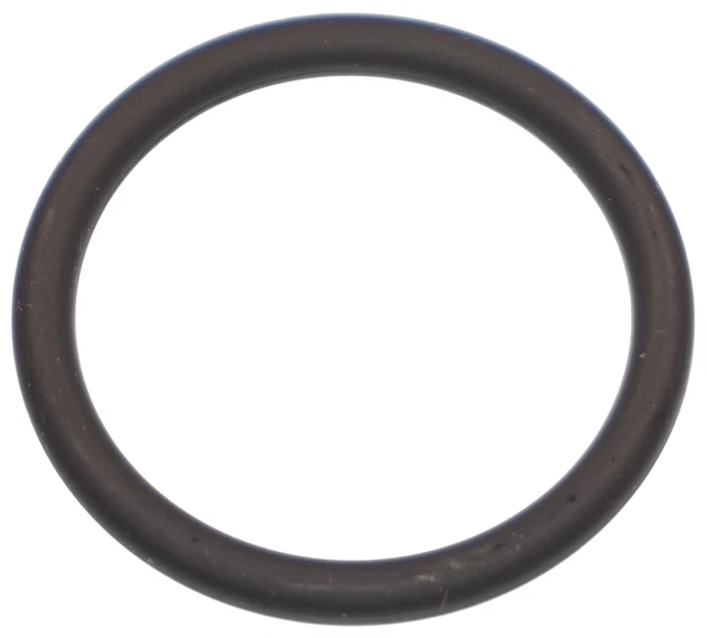 BMW EGR VALVE Admission Tuyau Ligne Port Joint Torique 11618512504 Neuf ...