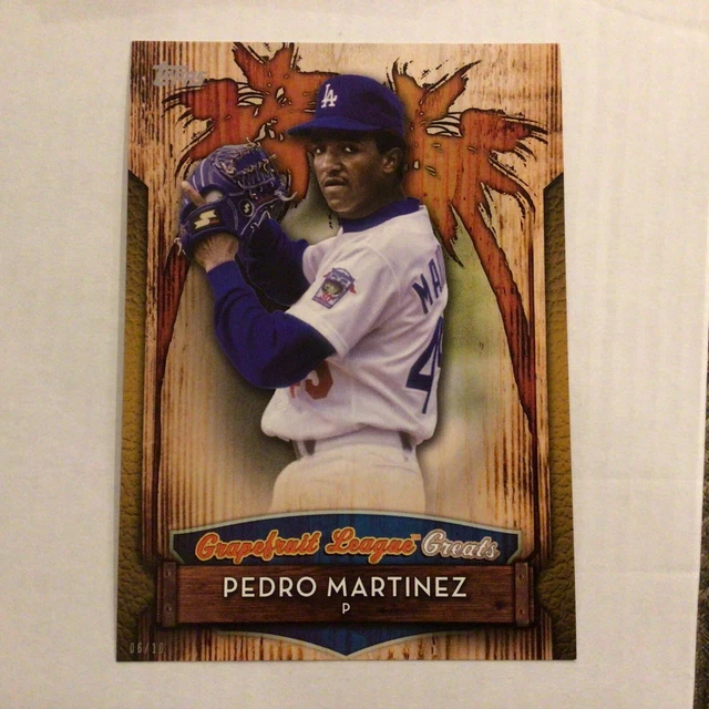 GLG-15 PEDRO MARTINEZ Dodgers 5x7 06/10 fabriqué 2019 Topps ...