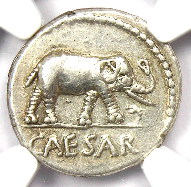 JULIUS CAESAR AR Denarius Silver Elephant Roman Coin 49 BC - NGC Choice ...
