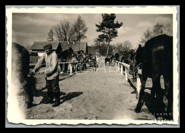 FOTO, WK2, EINSATZ Leslau/Włocławek, Dorf v. Leslau dient z. Pferde ...
