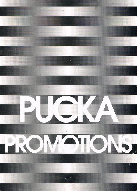 PUCKA PROMOTIONS RAVE Flyer Flyers 4/12/93 A5 Inn On The Beach Hayling ...