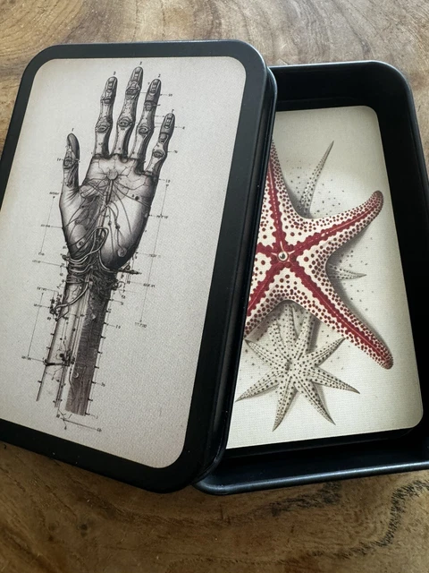 MAGIC TRICK MENTALISM Dr Nevin’s Psychic Testing Cards Zoological ...