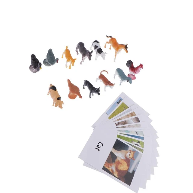 EDUCATION TOY POULTRY Animals Model Naming Cards for Montessori ...