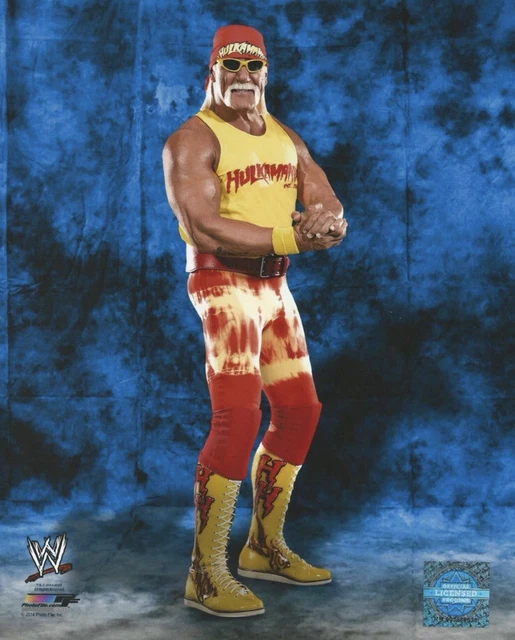 WCW WWF WWE WRESTLING HULK HOGAN HULKAMANIA PROMO 8x10 PHOTO REPRINT ...
