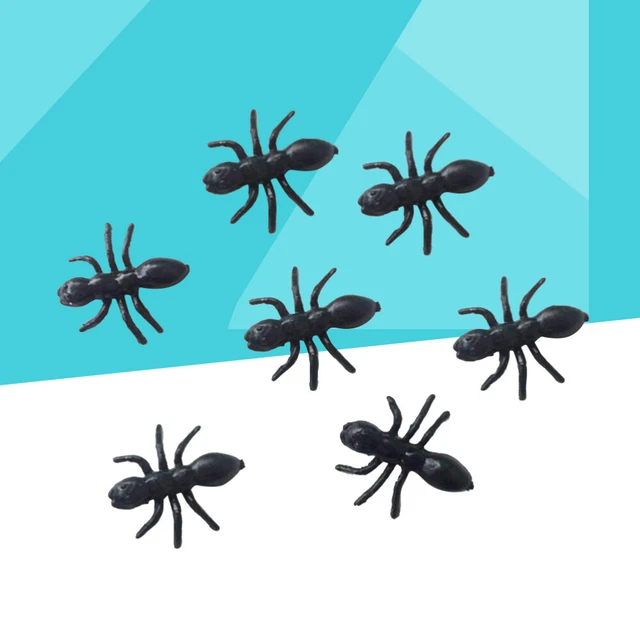 50 PCS GIOCATTOLO Per Insetti Formiche Vive Grande Formica Giocattoli ...