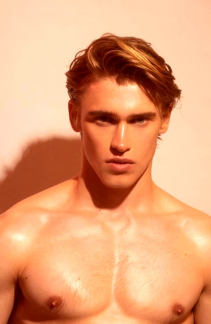 Shirtless Male Muscular Handsome Blond Hunk Beefcake Model Photo 4x6