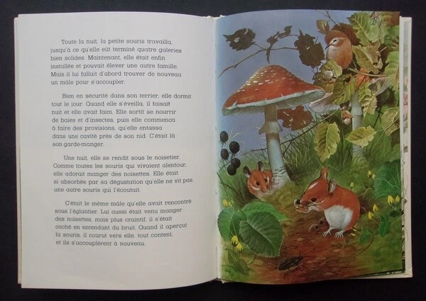 HISTOIRE D'UNE PETITE SOURIS Angela Sheehan Maurice Pledger 1978 EUR 8 ...