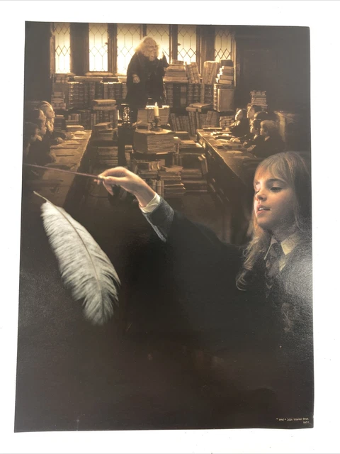 Hermione Granger Harry Potter Ron The Sorcerers Stone Movie Poster 8