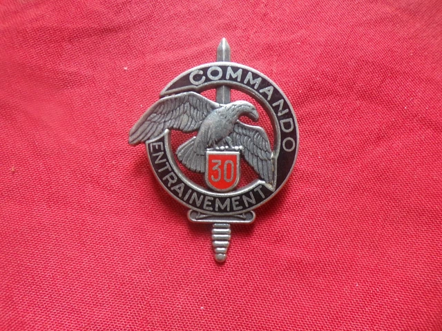INSIGNE MILITAIRE 30° RI Drago Paris commando entrainement sans attache ...
