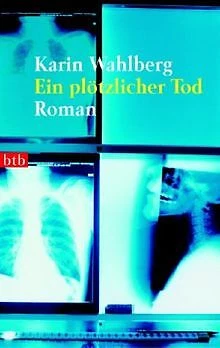 EIN PLÖTZLICHER TOD: Roman de Wahlberg, Karin | Livre | état très bon EUR 4,76 - PicClick FR