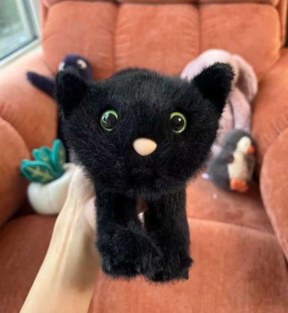 AUTHENTIC JELLYCAT SPOOKIPAWS Cat 2025 - RARE RETIRED BNWT WITH DUST ...
