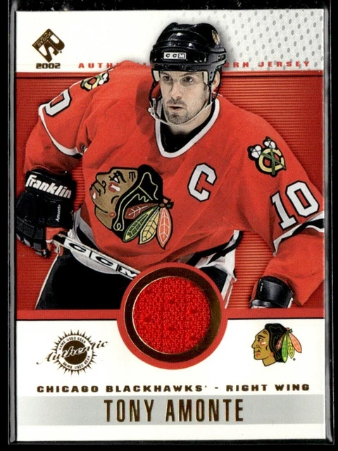 MAILLOT TONY AMONTE 2001-02 équipement de jeu privé #20 Chicago ...