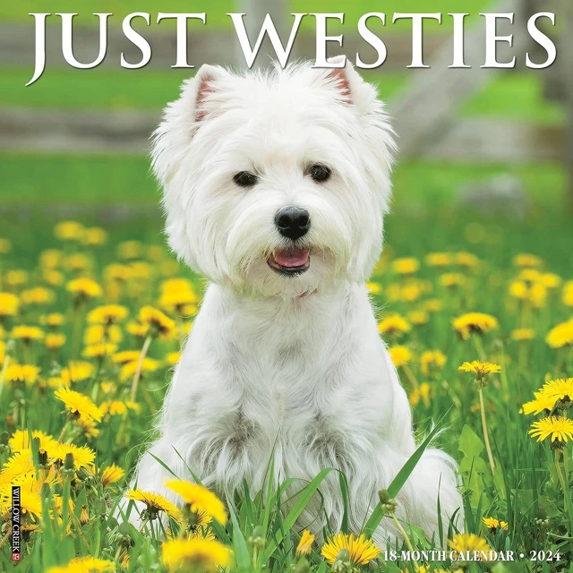 JUSTE WESTIES - 2024 Calendrier Mural - Tout Neuf - 35825 EUR 18,95 ... JUSTE WESTIES - 2024 Calendrier Mural - Tout Neuf - 35825 EUR 18,95 ...