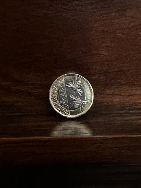 2025 KING CHARLES bees 1 one pound coin £312.70 - PicClick UK
