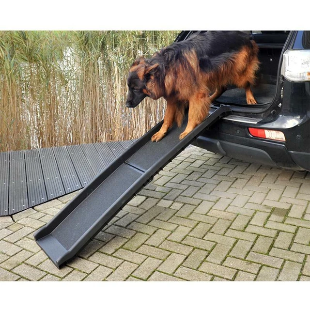 Rampe Fr Hunde