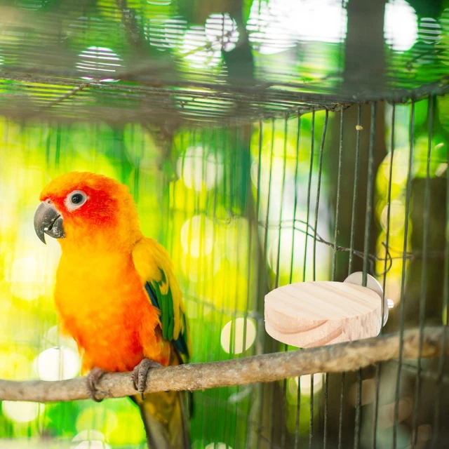 3 PCS BIRD Stand Board Platform Springboard Tabletop Standing Pole ...