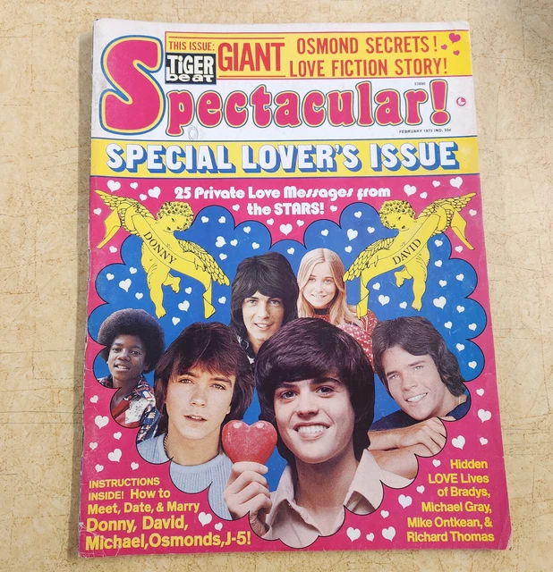 TIGER BEAT MAGAZINE February 1973 Donny Osmond, Rick Springfield, David ...