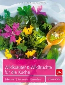 WILDKRÄUTER WILDFRÜCHTE für die Küche: Erkennen | S... | Livre | état très bon EUR 13,49 ...