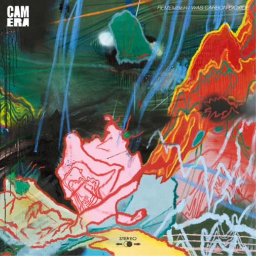 CAMERA REMEMBER I Was Carbon Dioxide (CD) Album EUR 18,68 - PicClick FR
