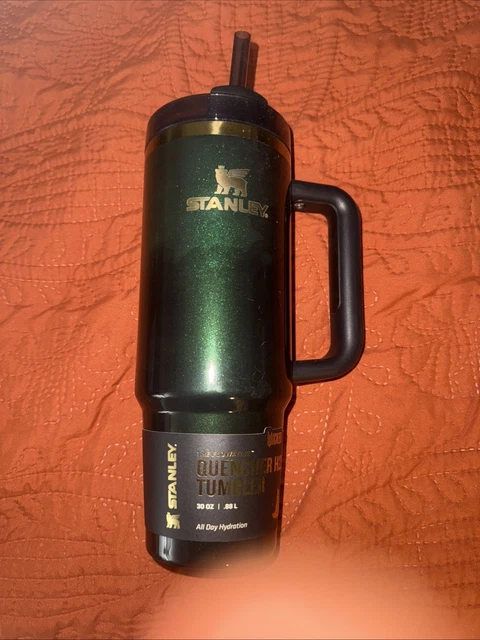 TARGET X STANLEY x Wicked ELPHABA FOR GOOD FlowState Quencher Tumbler ...