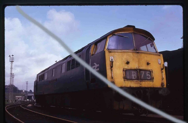 35MM SLIDE BR British Railway Diesel Loco Class 52 Western D1016 Laira ...