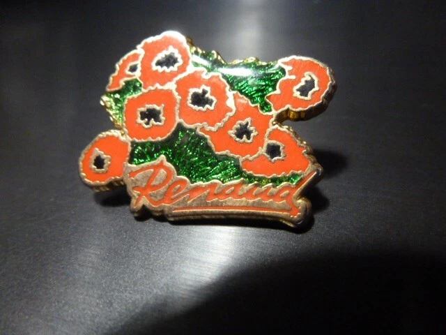 PINS DE 35 ans pin's chanteur Renaud ultra rare 1er version couleur EUR ...