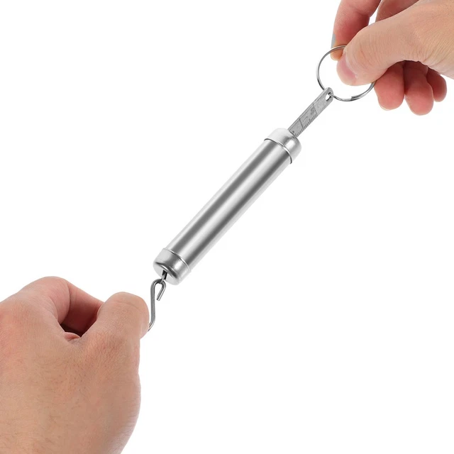 FISH WEIGHING SCALES Hanging for Produce Luggage Weight with Hook £6.99 ...