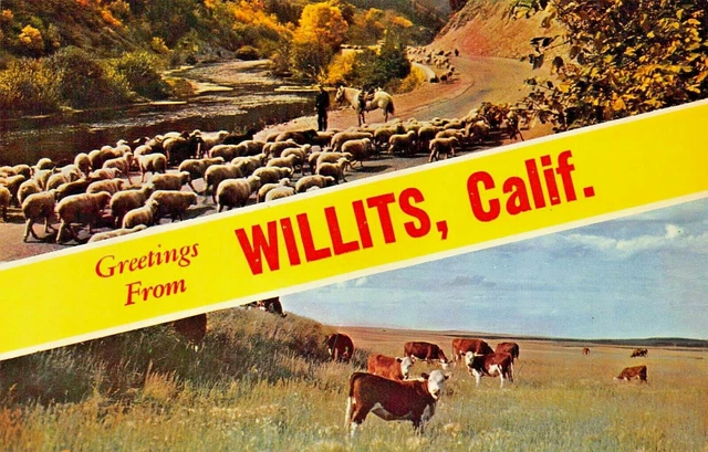 WILLITS CALIFORNIA~ VOEUX From-Split Image Grand Lettre Carte Postale ...