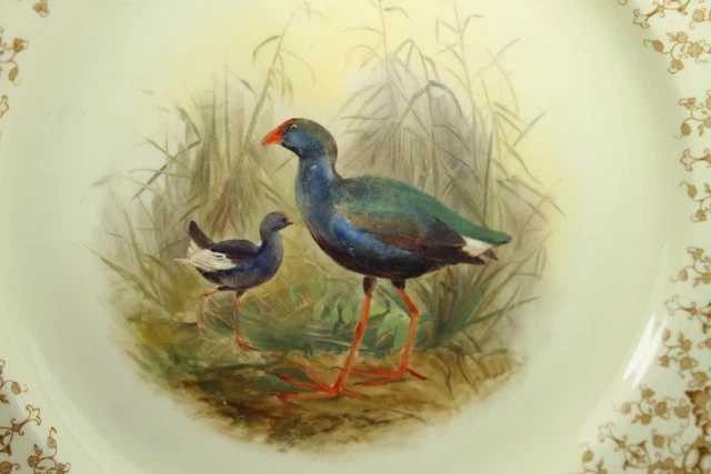 ANTIQUE 1890S ROYAL Worcester Bird Plate Pukeko Walter Buller Print New ...