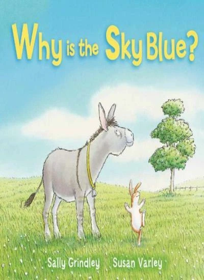 WHY IS THE Sky Blue?,Sally Grindley, Susan Varley- 9781842705896 £2.34 ...