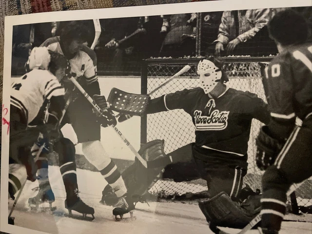1972 WAYNE THOMAS Ahl Hockey Type 1 Photo Nova Scotia Nhl Goaltender ...
