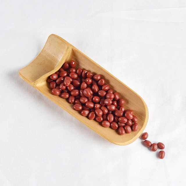FAKE RED BEANS Model Realistic Simulation Beans Artificial Beans Photo ...