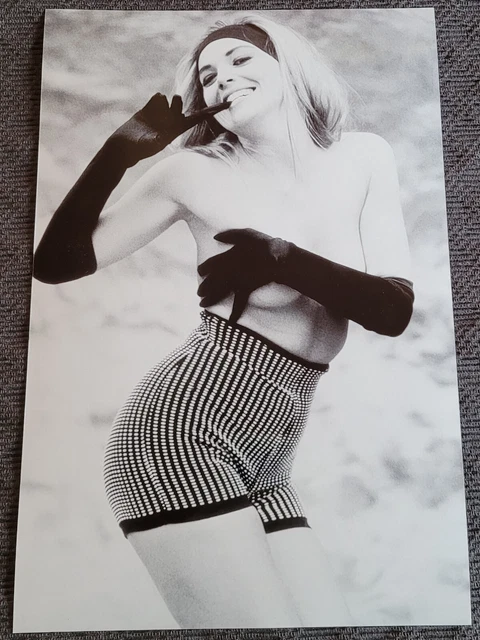 SCHAUSPIELERIN SHARON STONE Film-Star-Foto im Format ca. 20 x 30 cm #19798 £8.02 - PicClick UK