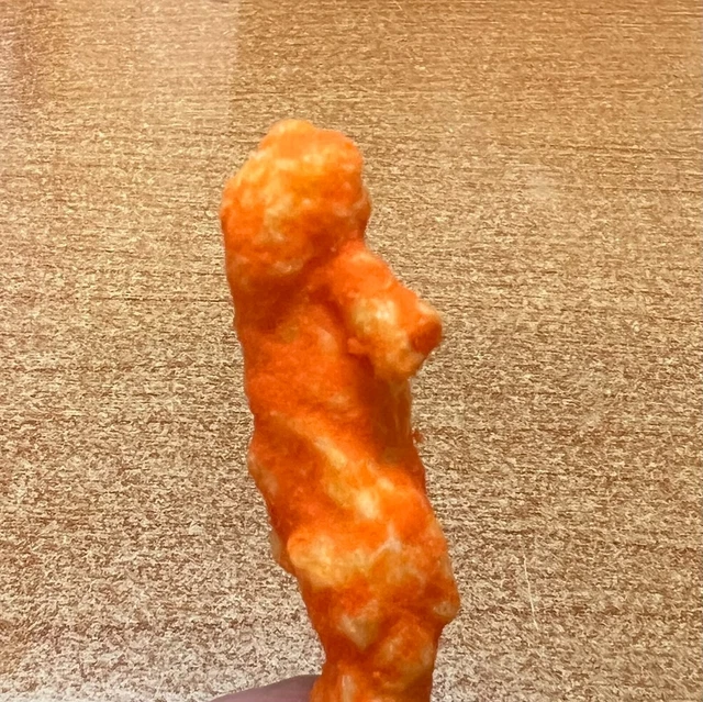 RARE CHEETO Shaped Like Dog *head* (Golden Retriever?), Cheeto Looks ...
