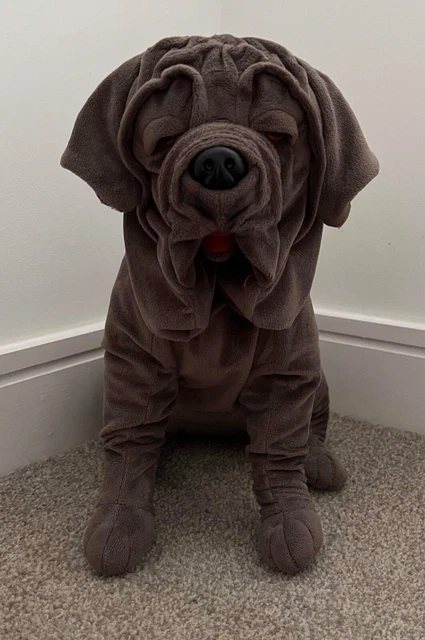 HARRY POTTER FANG Hagrid’s Dog Soft Toy Plush Warner Bros Studio Tour ...