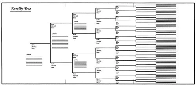 BLANK FAMILY TREE Chart Kit 6 different sizes, types £38.80 - PicClick UK
