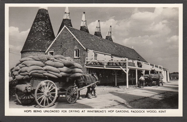 POSTCARD WHITBREAD BREWERY hop cart gardens Paddock Wood Kent RP EUR 9 ...