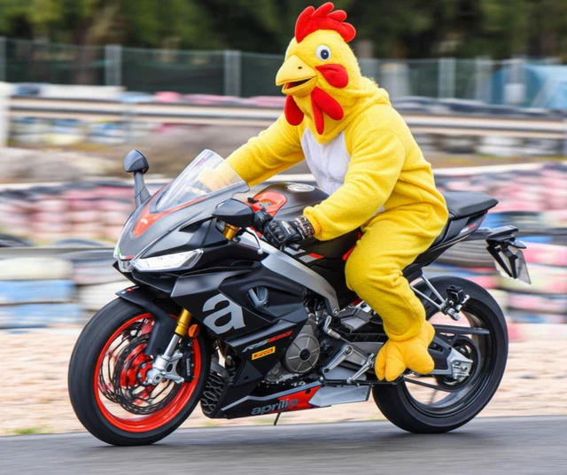 WERKSTATTHANDBUCH APRILIA RS 660 Tuono 660 Reparaturanleitung Auf Usb ...