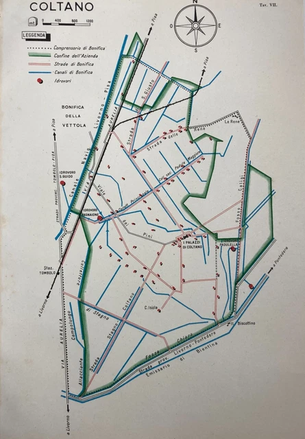 IDRAULICA-BONIFICHE-TOSCANA-COLTANO-BONIFICA DELLA VETTOLA-MAPPA ...