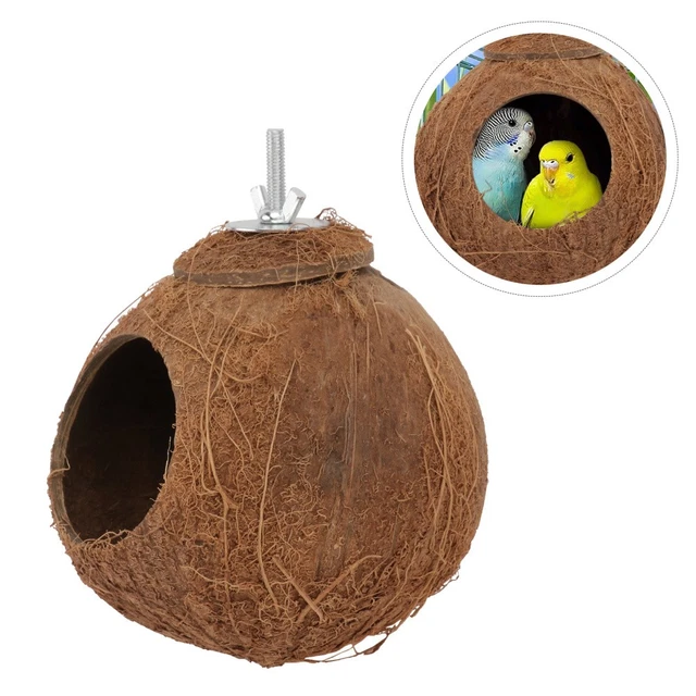 COCONUT SHELL BIRD Nest Toy for Parrots Birds Enrichment Plaything $20. ...