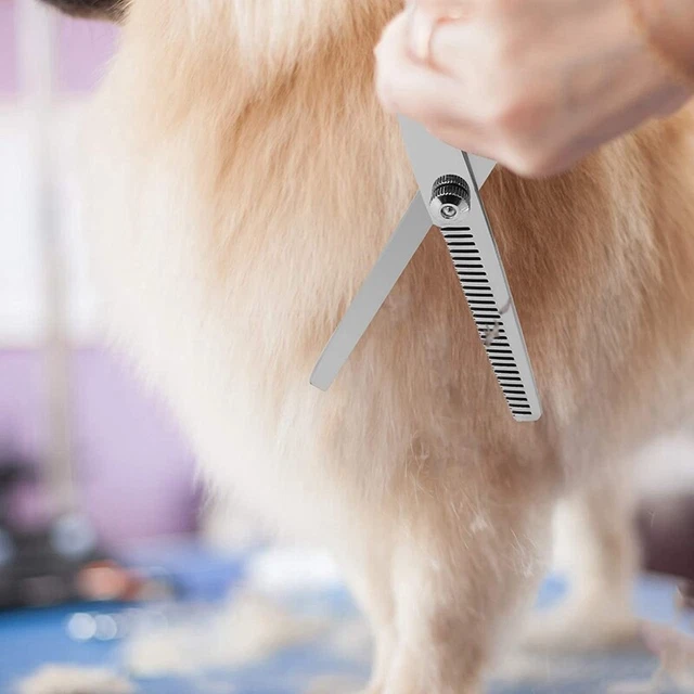 HUNDE PFLEGE SCHEREN Kit mit Rund VerdüNnender AusdüNnung Schere mit ...