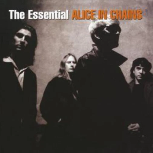 ALICE IN CHAINS Essential (Remastered) (CD) Album EUR 20,53 - PicClick FR