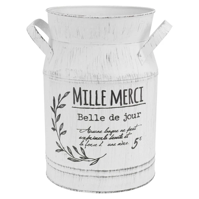 VASE DE COMPOSITION Florale Galvanisé Arrosage Bouteille Plante EUR 15 ...