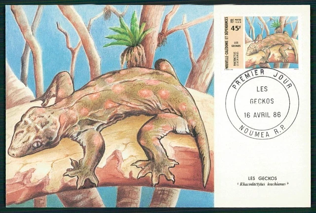 NUOVA CALEDONIA MK 1986 FAUNA LUCERTOLE GECO MAPPA MASSIMA MAXI CARD MC ...